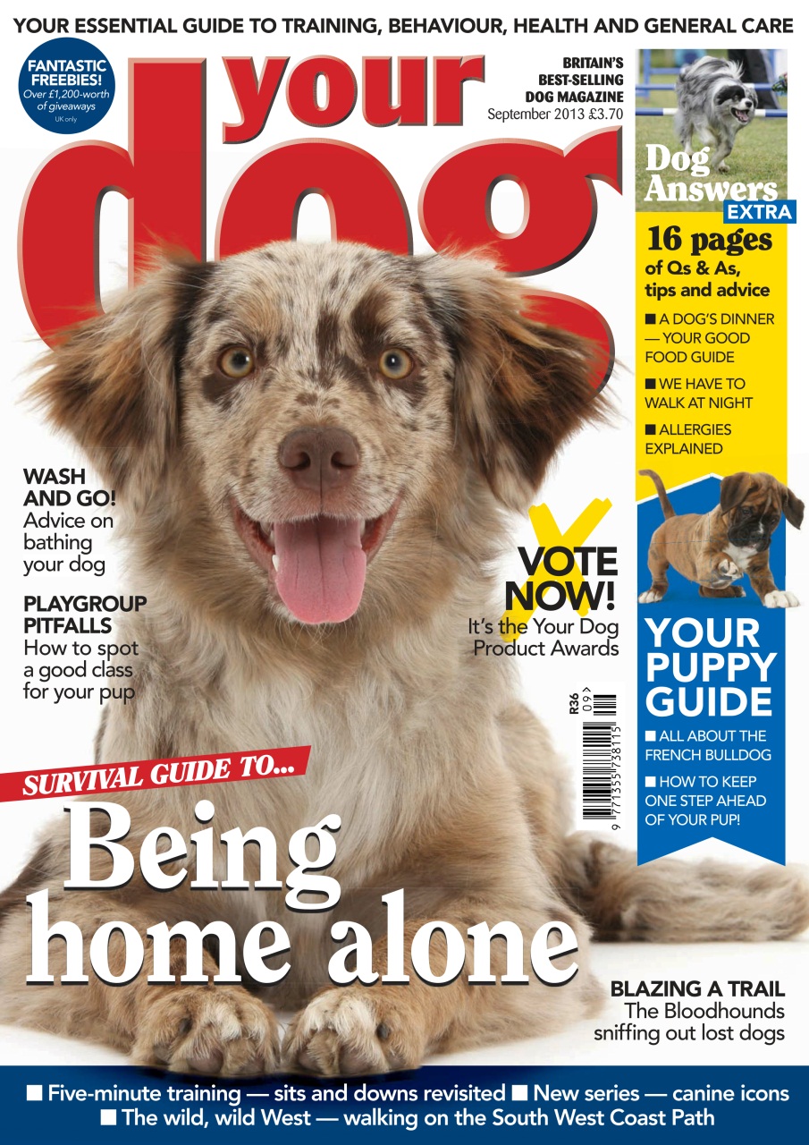 Your Dog Magazine - Your Dog Magazine September 2013 Back Issue