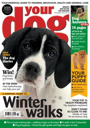 Your Dog Magazine - Your Dog Magazine November 2013 Back Issue