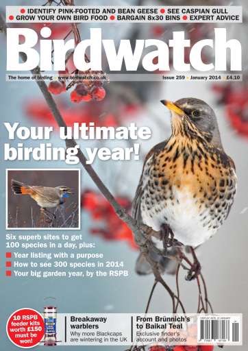Birdwatch Magazine - January Issue Back Issue