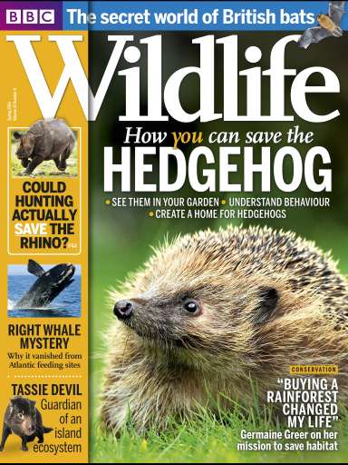 BBC Wildlife Magazine - Spring 2014 Back Issue