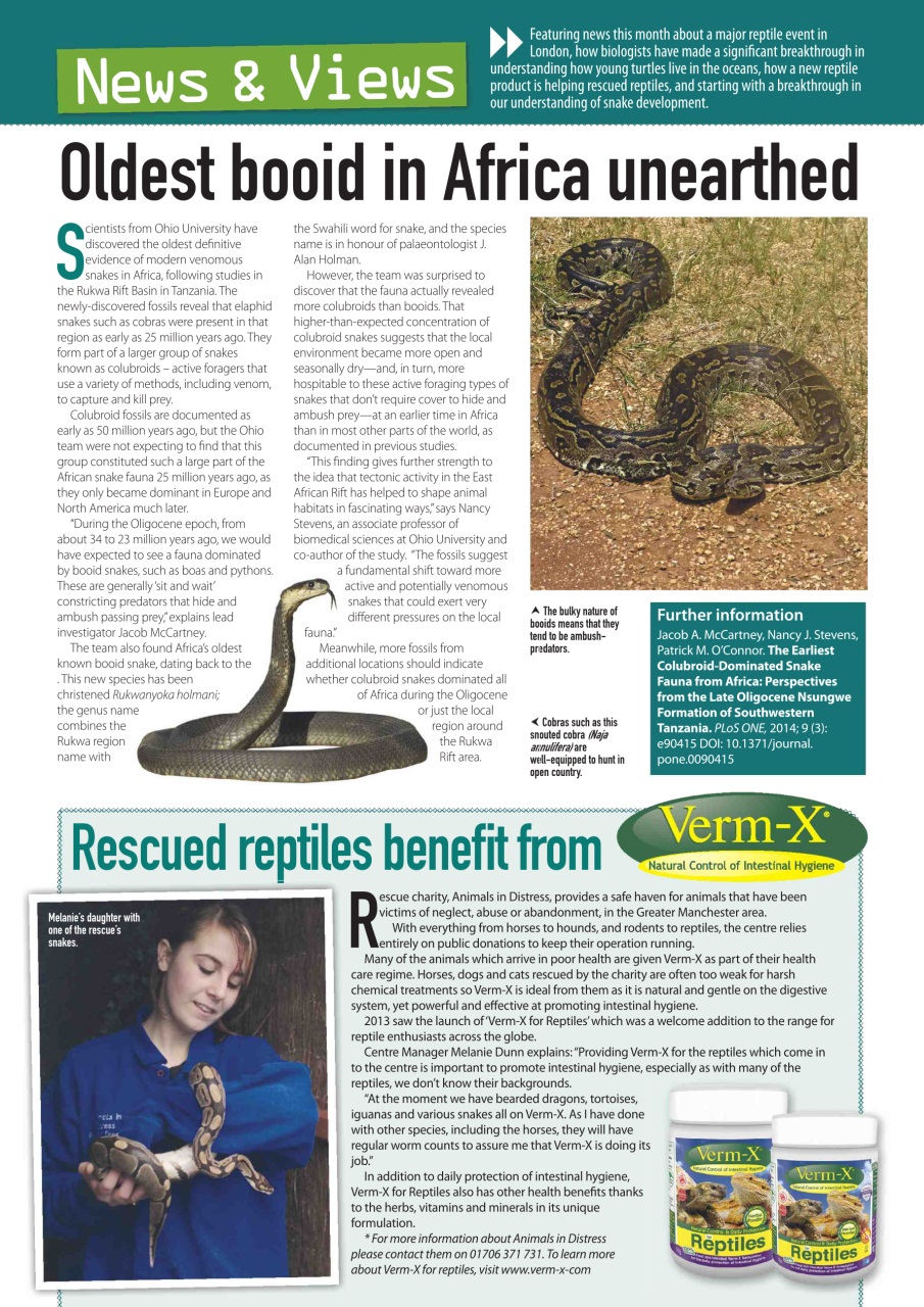 Practical Reptile Keeping Magazine - No.61 Australian snakes Back Issue