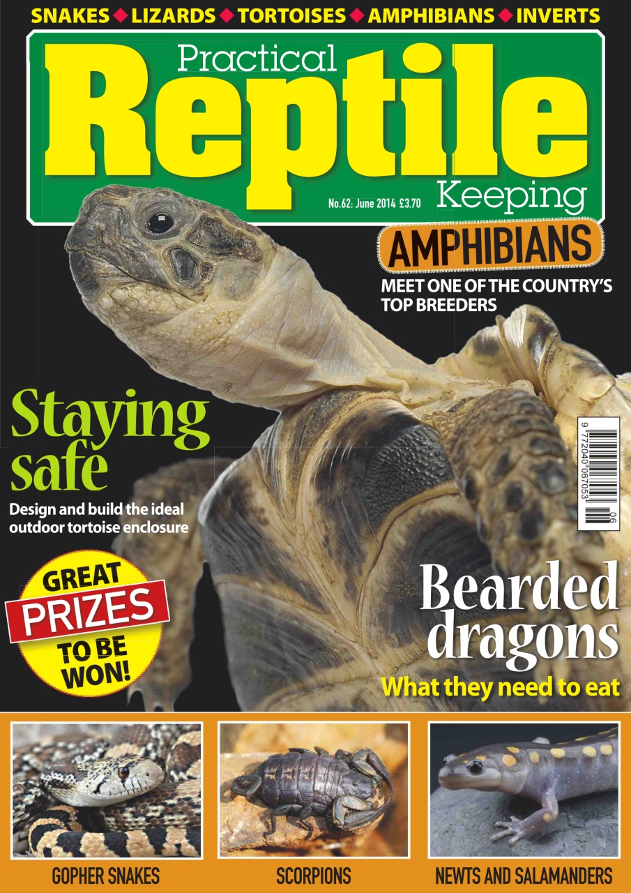 Practical Reptile Keeping Magazine - No.62 Design and build the ideal ...