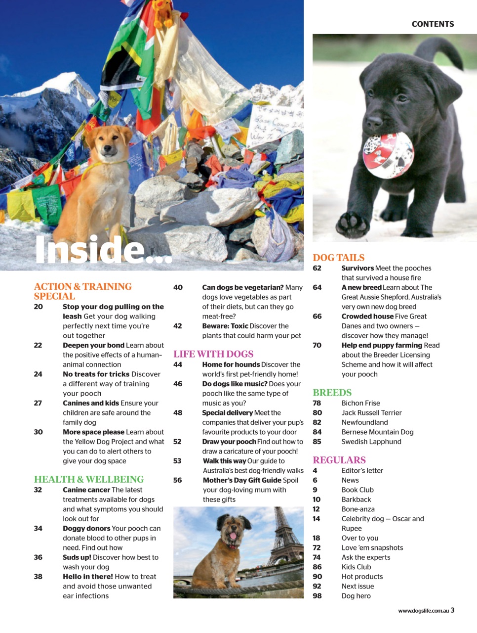 Dogs Life Magazine - May/June Issue#125 Back Issue