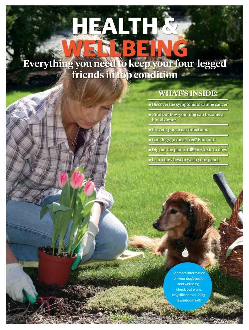 Dogs Life Magazine - May/June Issue#125 Back Issue