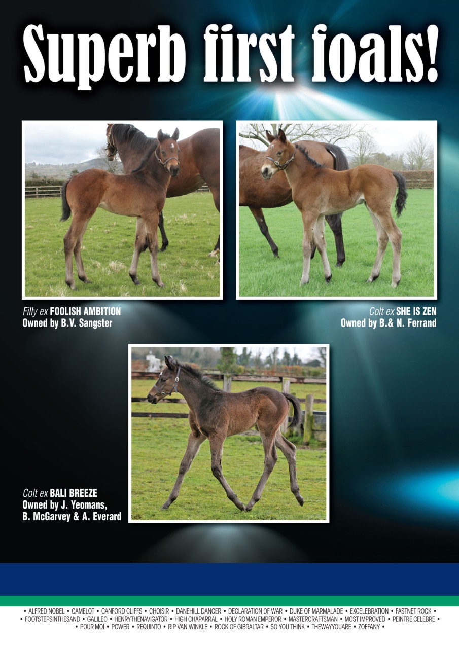 The Owner Breeder Magazine - June 2014 – Issue 118 Back Issue