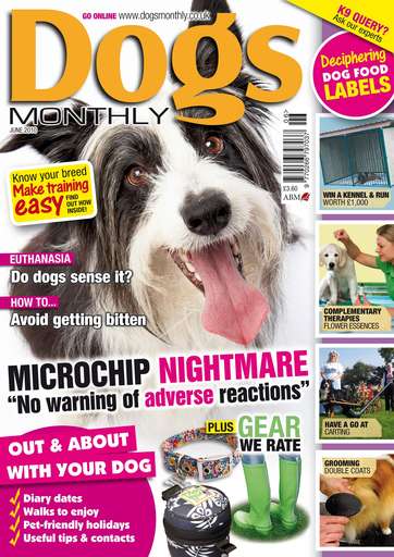 Dogs Monthly Magazine - June 2010 Back Issue