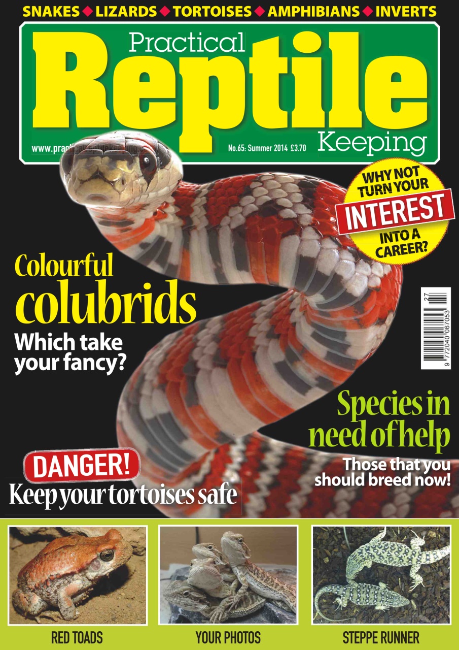 Practical Reptile Keeping Magazine - No.65 Colourful Colubrids Back Issue