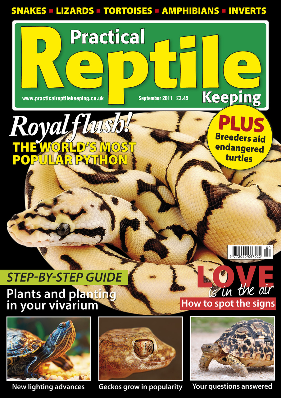 Practical Reptile Keeping Magazine - No.28 Popular Python Back Issue