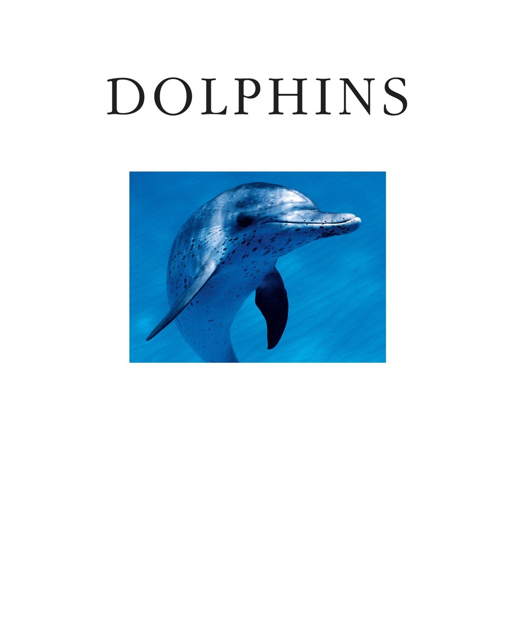 Wildlife Monographs Magazine - Dolphins Back Issue