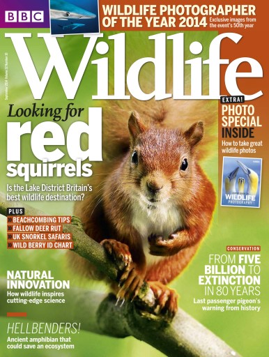 BBC Wildlife Magazine - September 2014 Back Issue