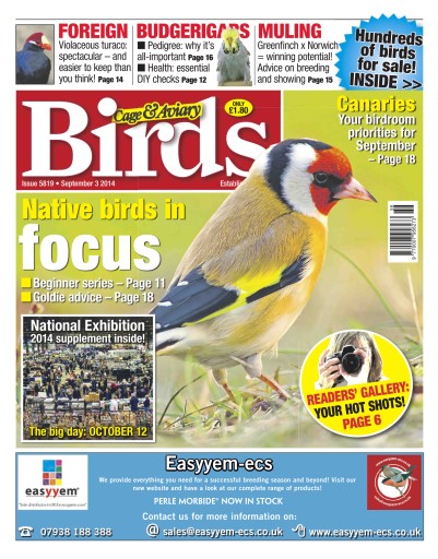 Cage & Aviary Birds Magazine - No.5819 Native birds in focus Back Issue