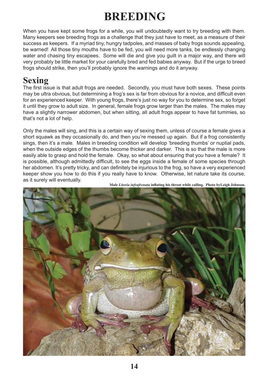Reptile Publications Magazine - Keeping Frogs Back Issue