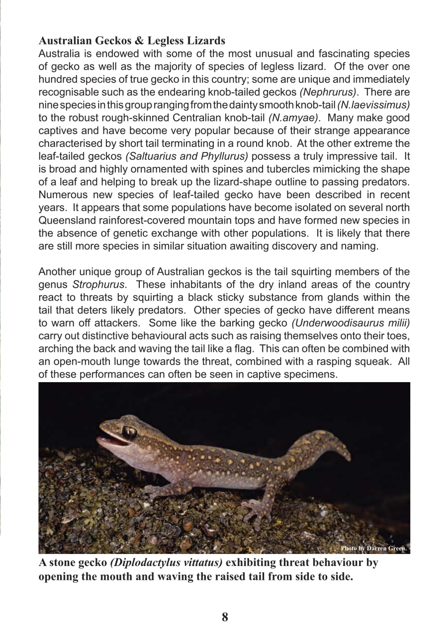 Reptile Publications Magazine - Keeping Australian Geckos Back Issue