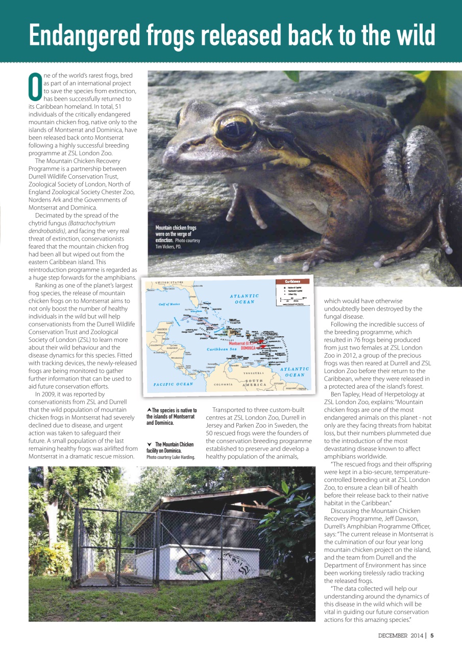 Practical Reptile Keeping Magazine - No.69 Garter Snakes Back Issue