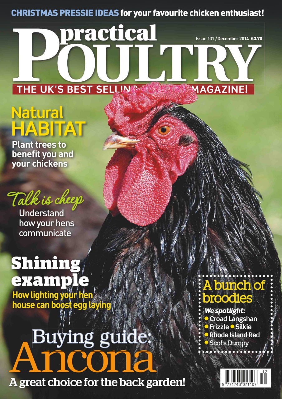Practical Poultry Magazine - No.131 Buying Guide: Ancona Back Issue