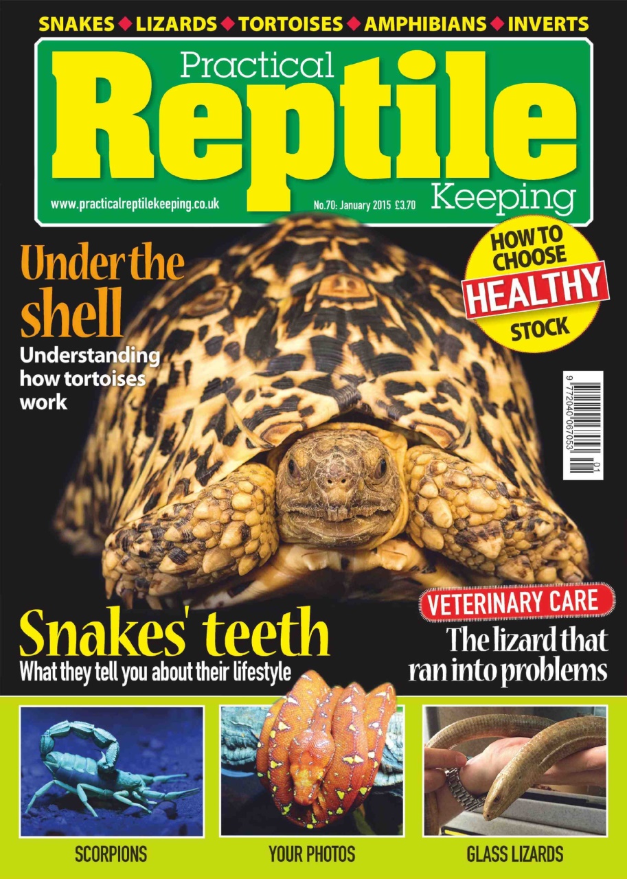 Practical Reptile Keeping Magazine - No.70 Under the shell Back Issue