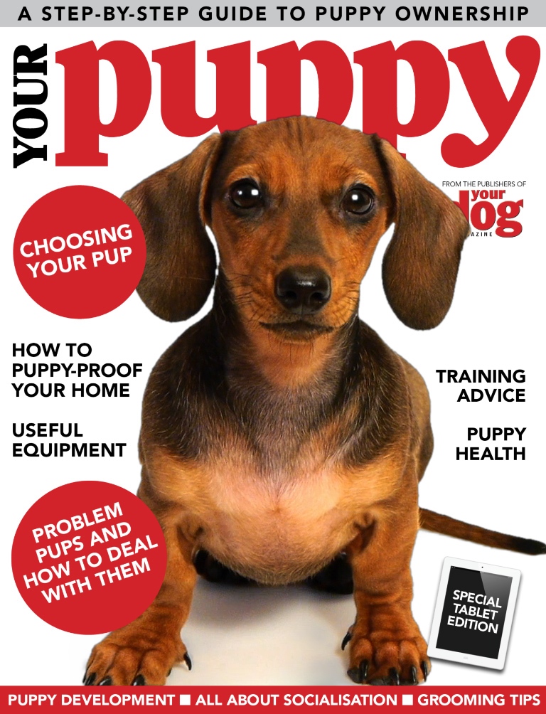 Your Dog Magazine - Your Puppy Special Issue