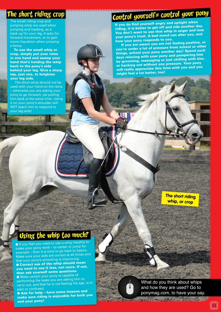 Pony Magazine - PONY Magazine – Spring 2015 Back Issue