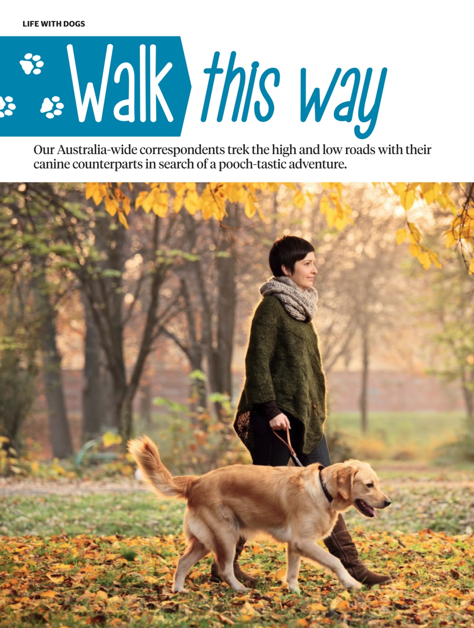 Dogs Life Magazine - Mar/Apr Issue#130 Back Issue