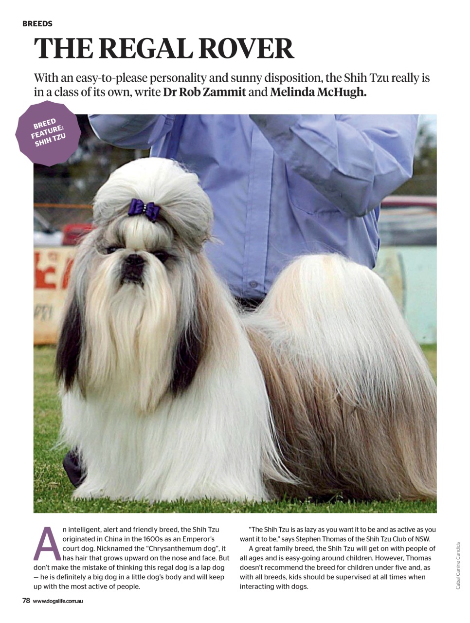 Dogs Life Magazine - Mar/Apr Issue#130 Back Issue