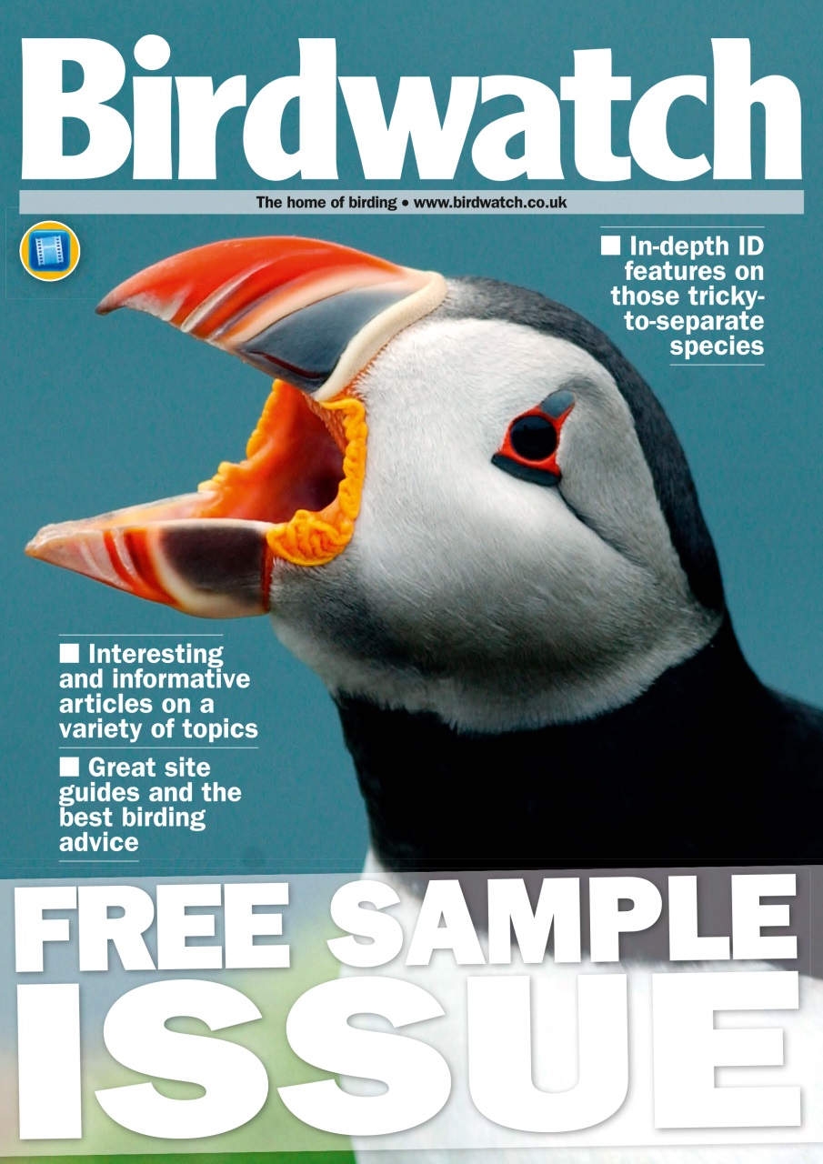 Birdwatch Magazine - FREE SAMPLE ISSUE Special Issue