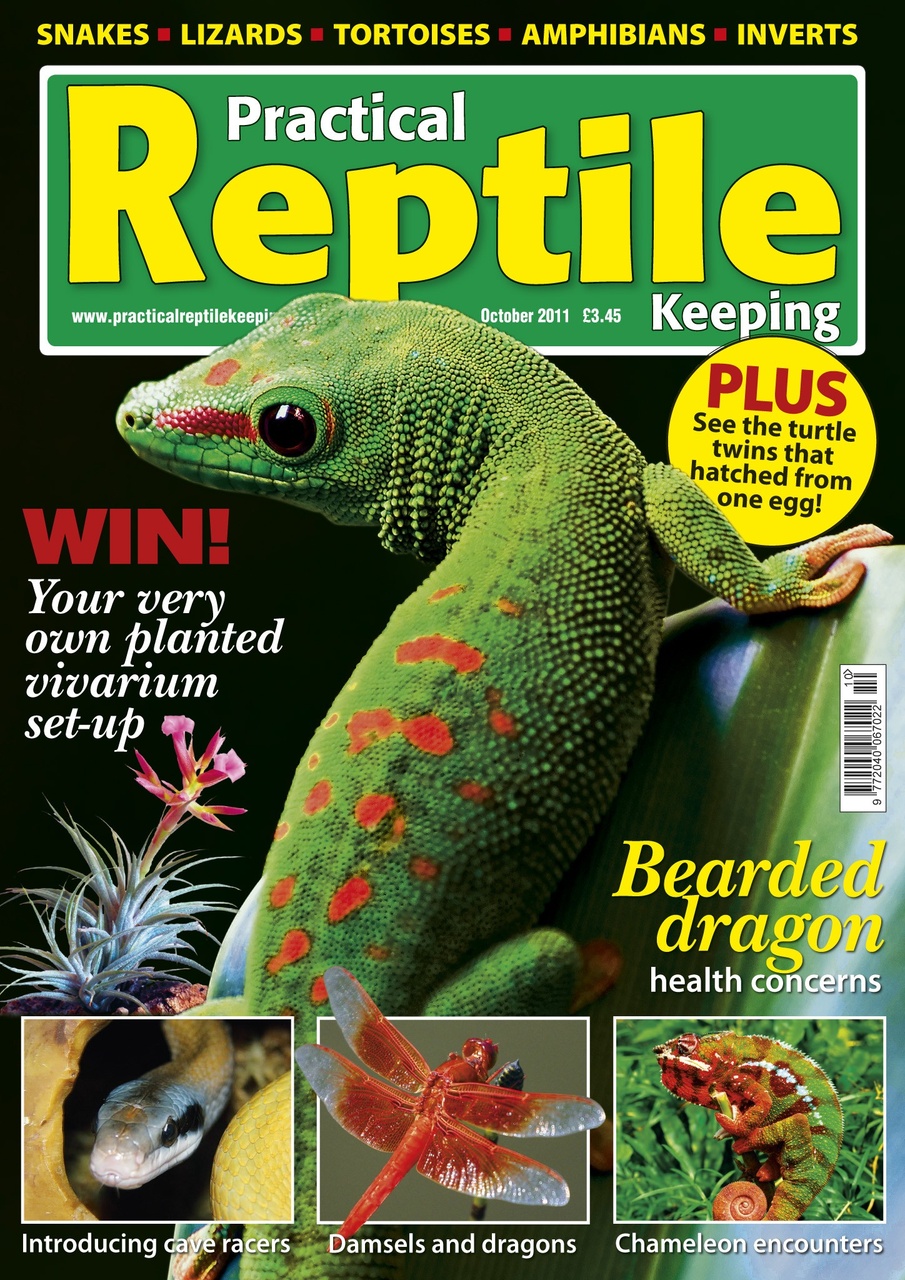 Practical Reptile Keeping Magazine - No.29 Bearded Health Back Issue