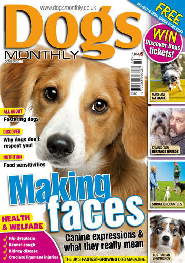 Dogs Monthly Magazine - October2011 Back Issue