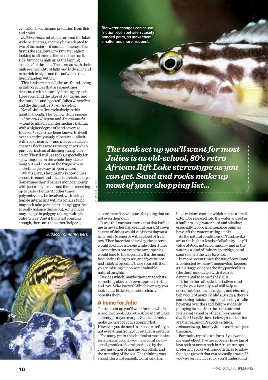 Practical Fishkeeping Magazine - June 2015 Back Issue