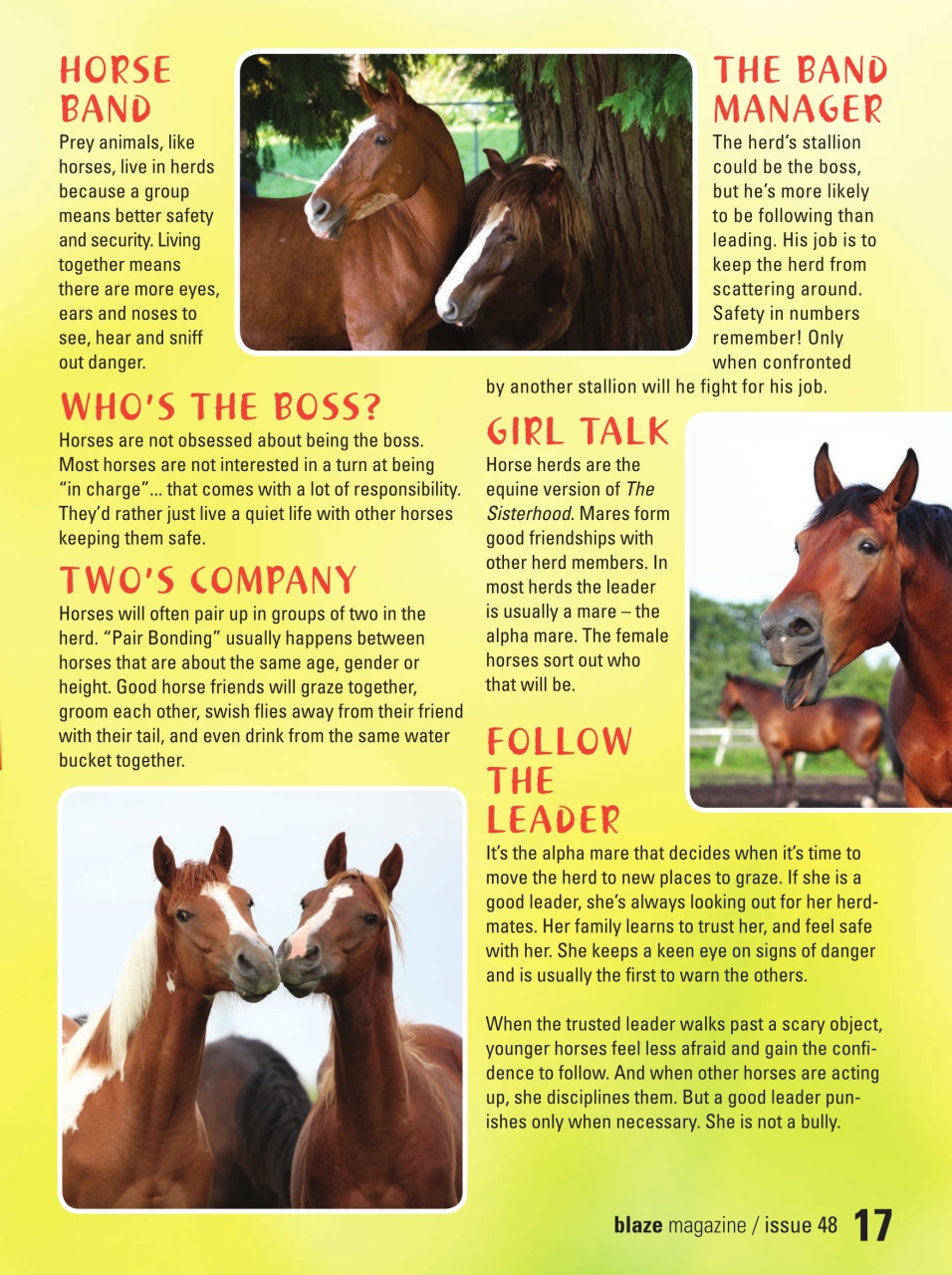 Blaze Magazine For Horse Crazy Kids - Issue No. 48 Spring 2015 Back Issue